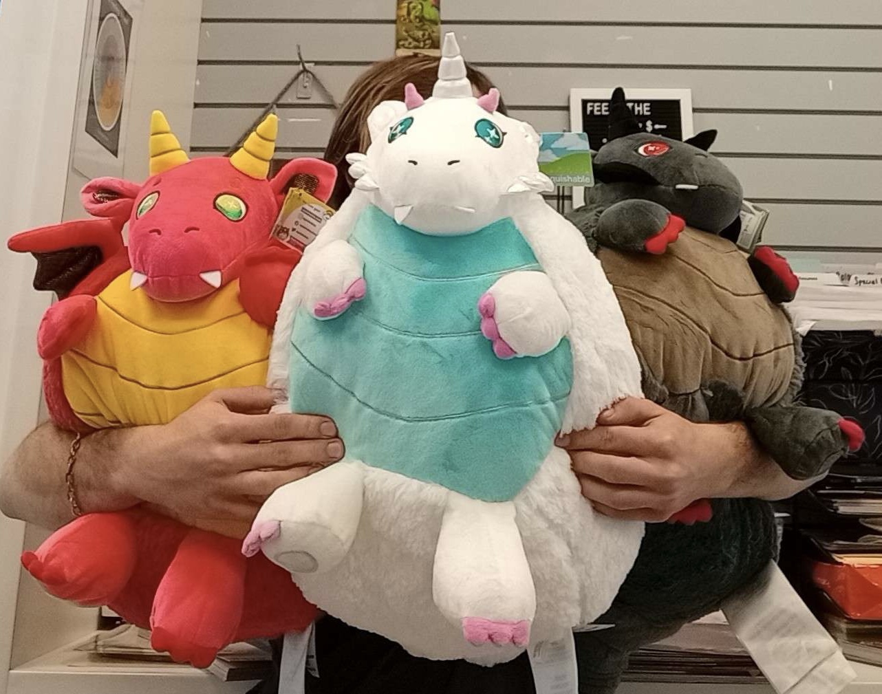 Dragon Friends - The Dragon Store